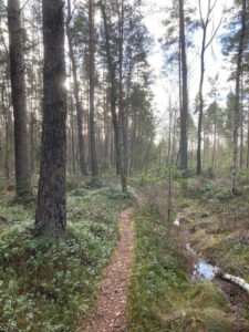 Nytt naturreservat i Alvesta – Alvesta Kommun