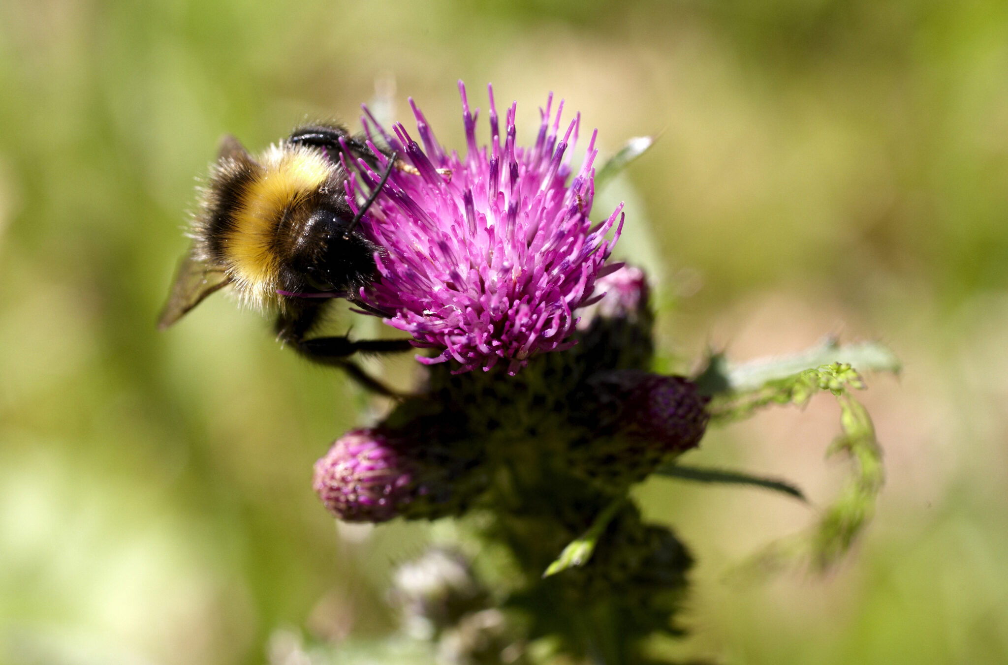 Alvesta kommun har beslutat om Energi- och klimatprogram – en vision ...